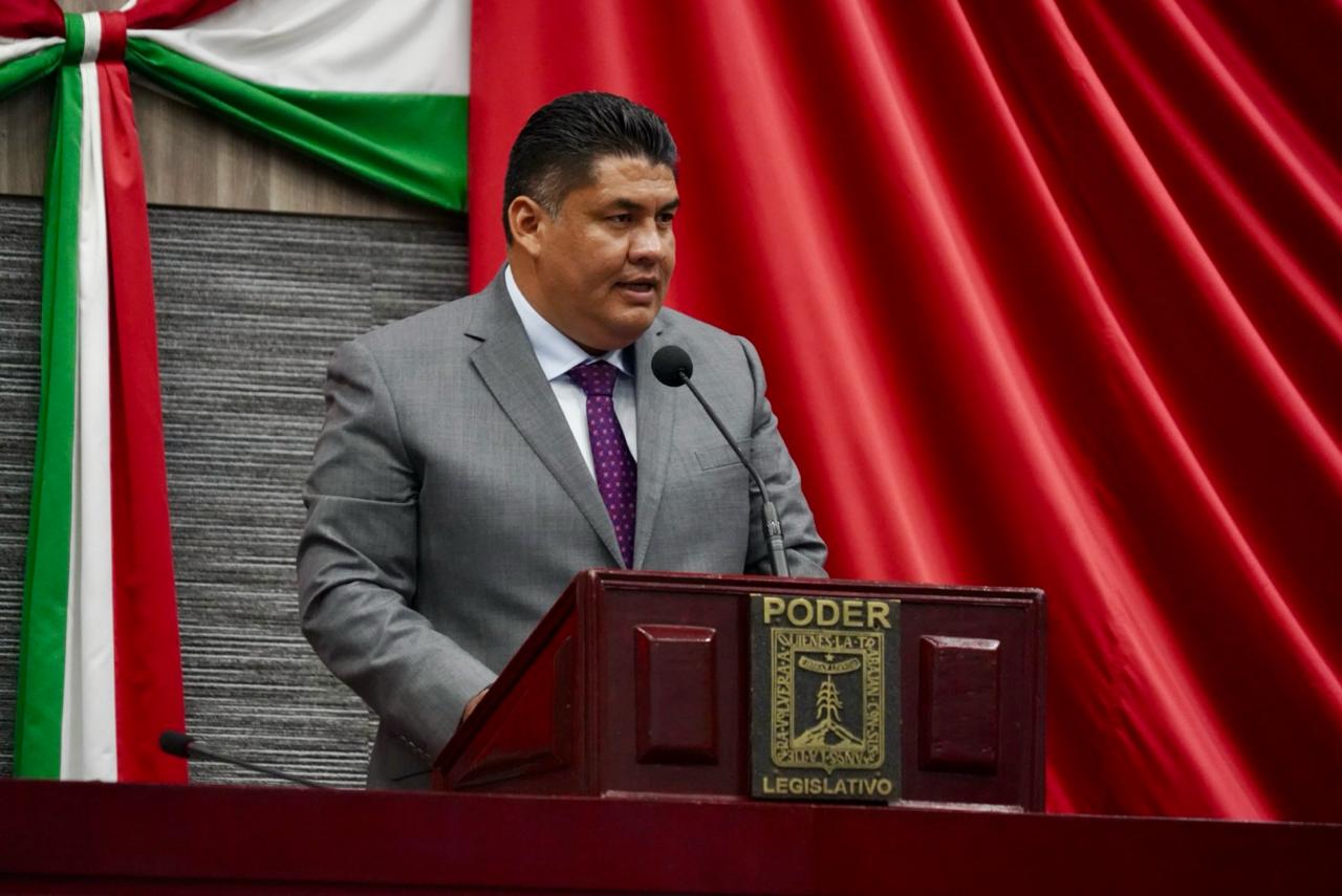Propone diputado Francisco Erik Sánchez medidas para asegurar ...